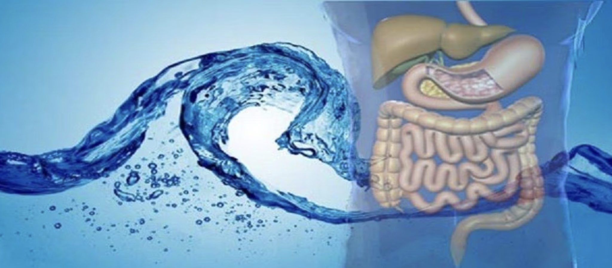 Home | Inner Garden health - Vancouver Hydrotherapy, Colon Therapy ...
